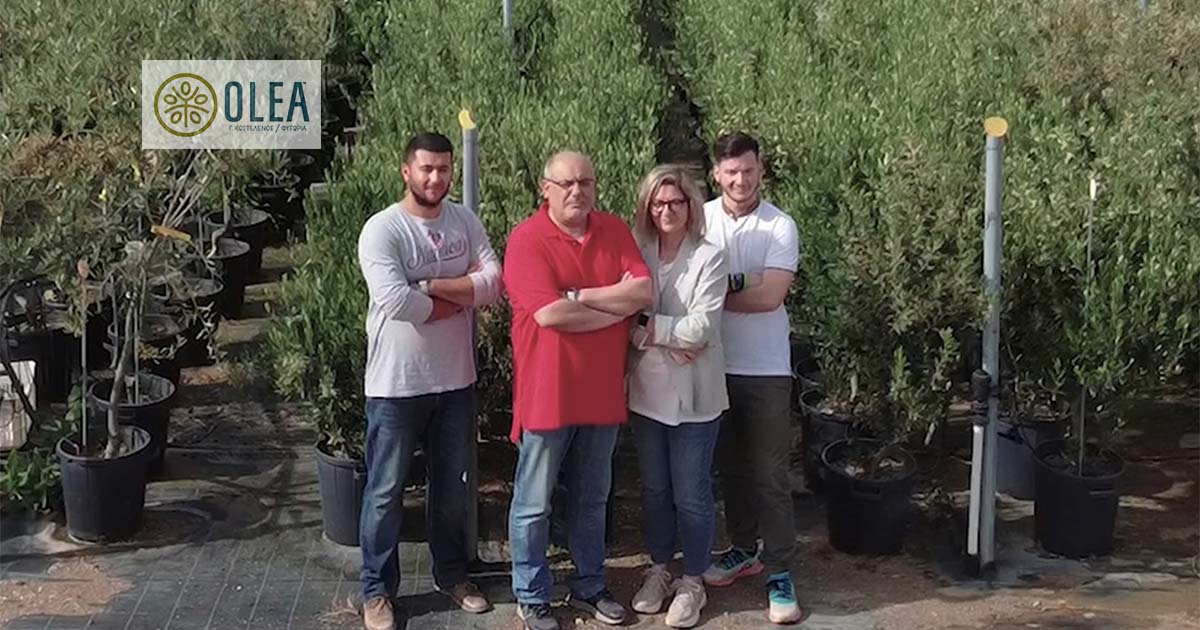 Ποιοι είμαστε | OLEA | Γ. Κωστελένος Φυτώρια
